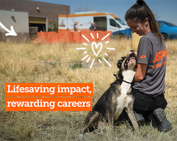 Contingent Animal Relocation Driver | Remote | ASPCA