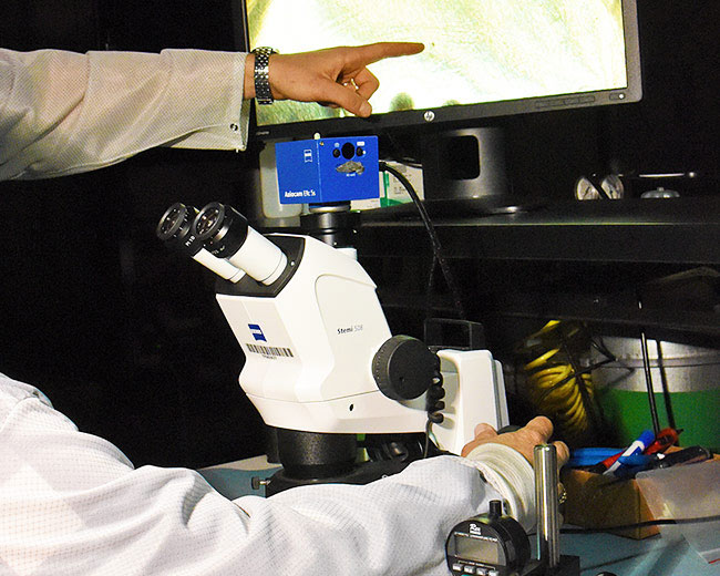 Plutonium Missions Careers | Los Alamos National Laboratory